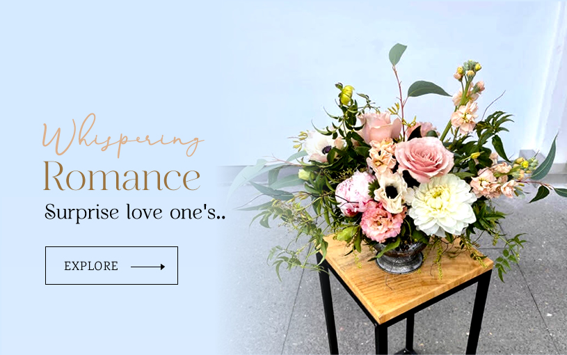 Home Modern - sas.vytech.co